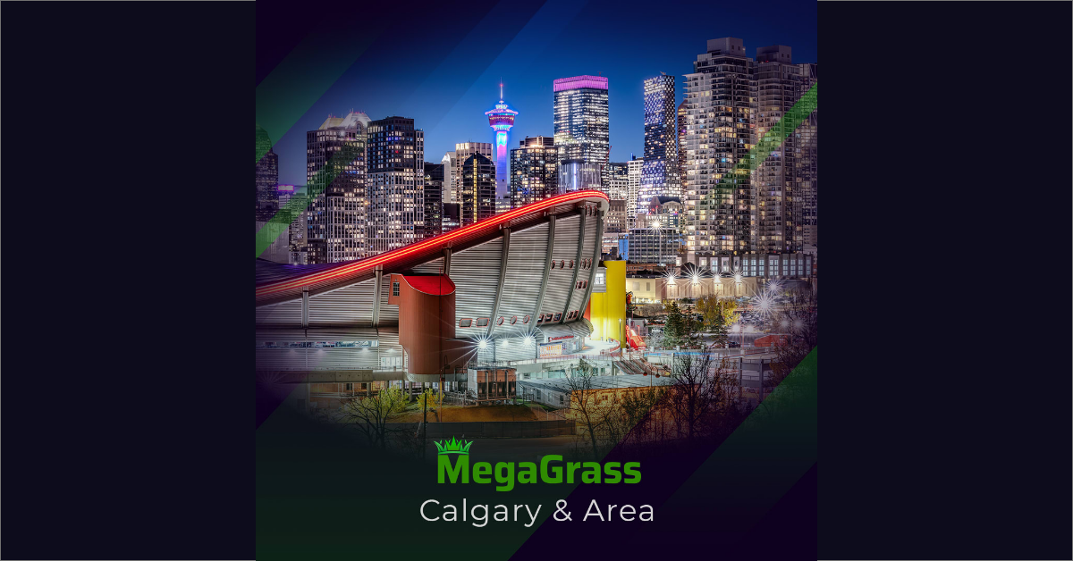 Calgary - MegaGrass Artifical Grass & Turf
